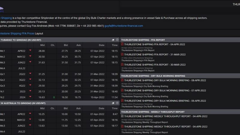 Eikon Shipping Commodities LSEG