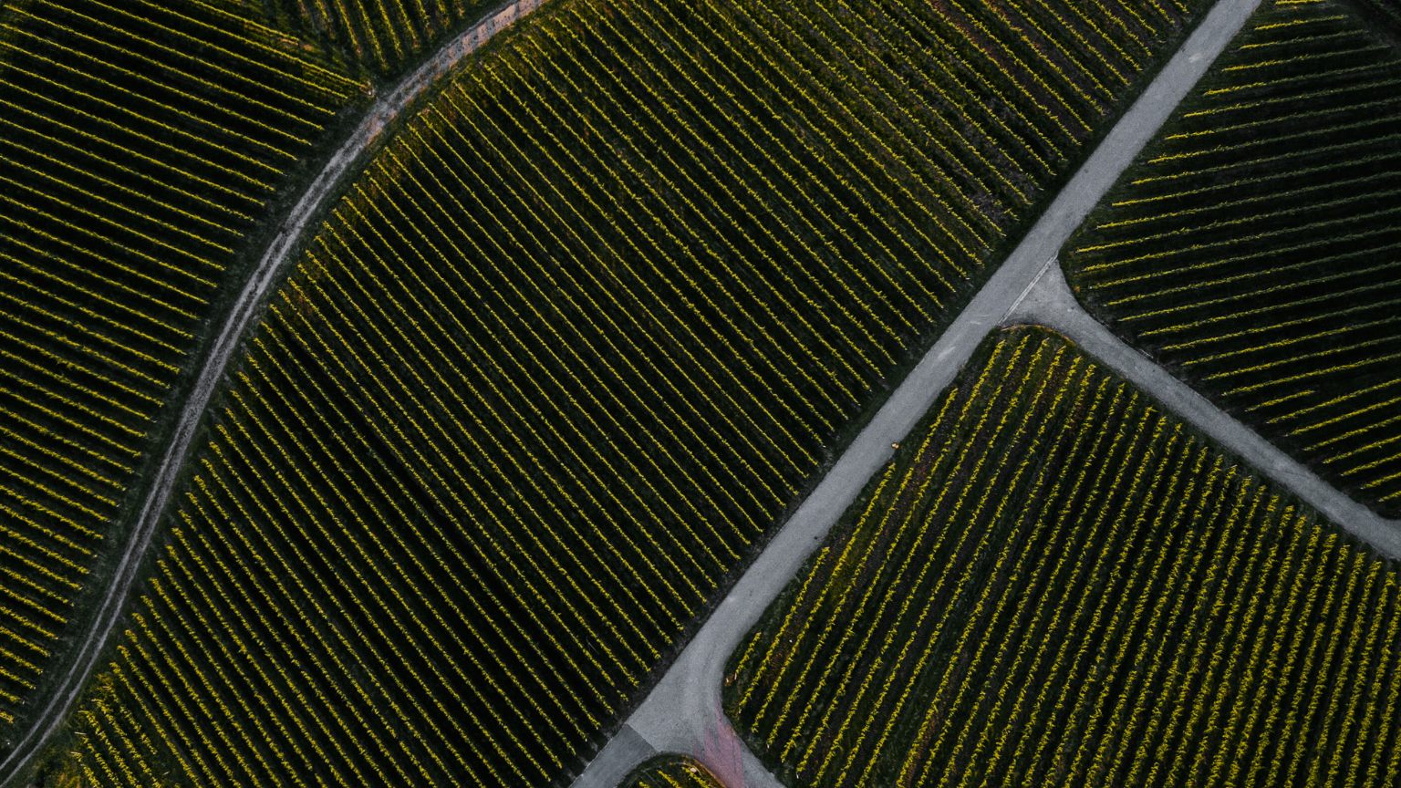 FTSE Russell Research | LSEG