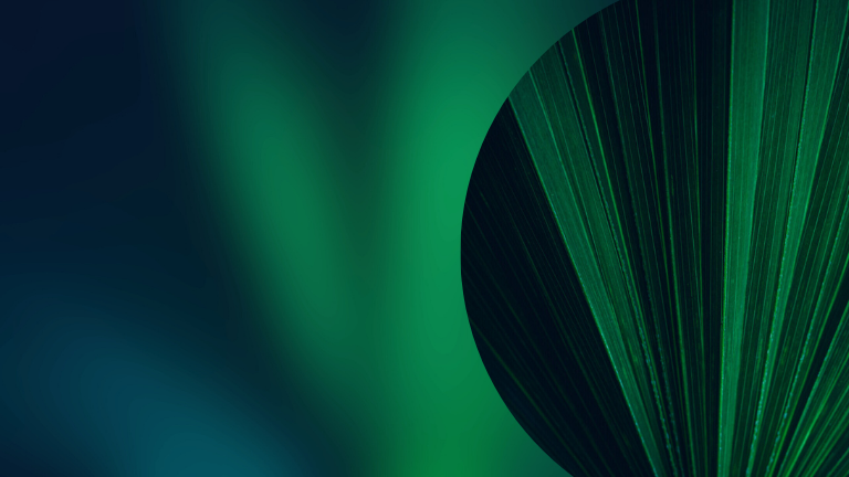 FTSE Dividend Growth with Quality Index Series | LSEG
