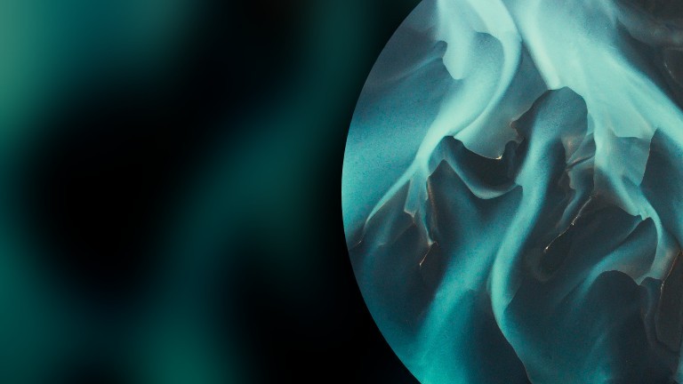 Mergent - Academic Data Product | LSEG