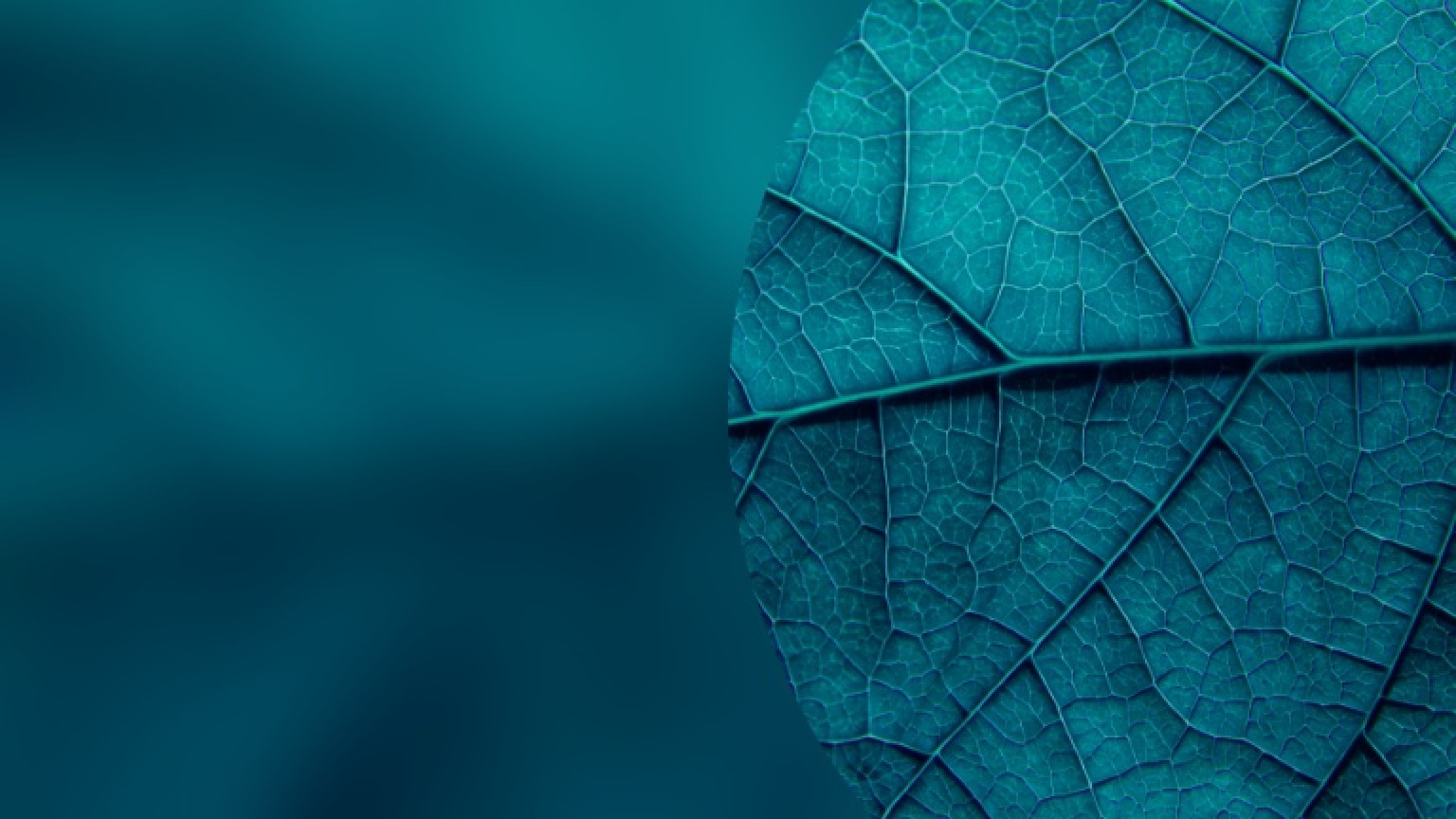 FTSE Russell Indices, Insights & Data | LSEG