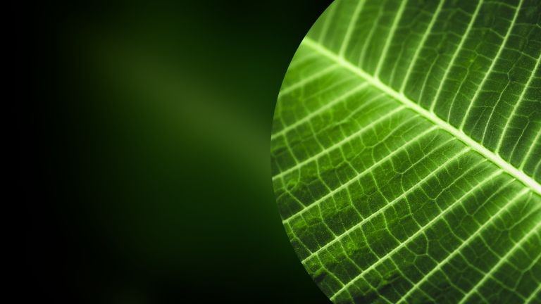 FTSE ESG Risk-Adjusted Index Series | LSEG