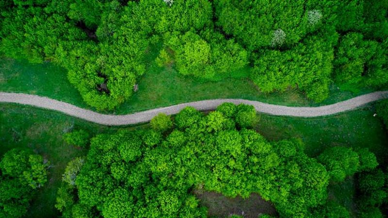 Green Revenues 2.0 Data Model | LSEG