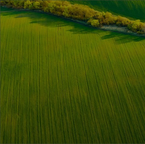 FTSE TPI Climate Transition Index Series | LSEG