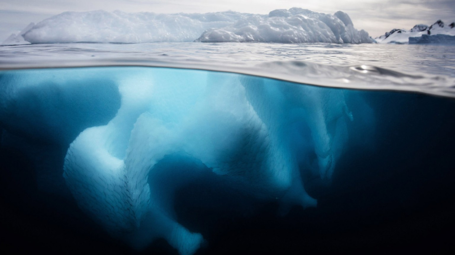 Climate Transition Solutions | LSEG